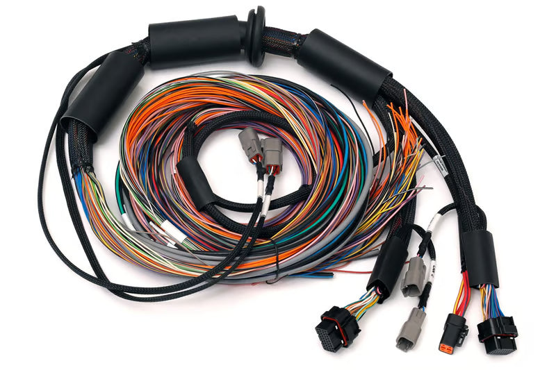 Haltech 8 Foot Flying Lead Harness For Use w/ Nexus R3 VCU - Subimods.com